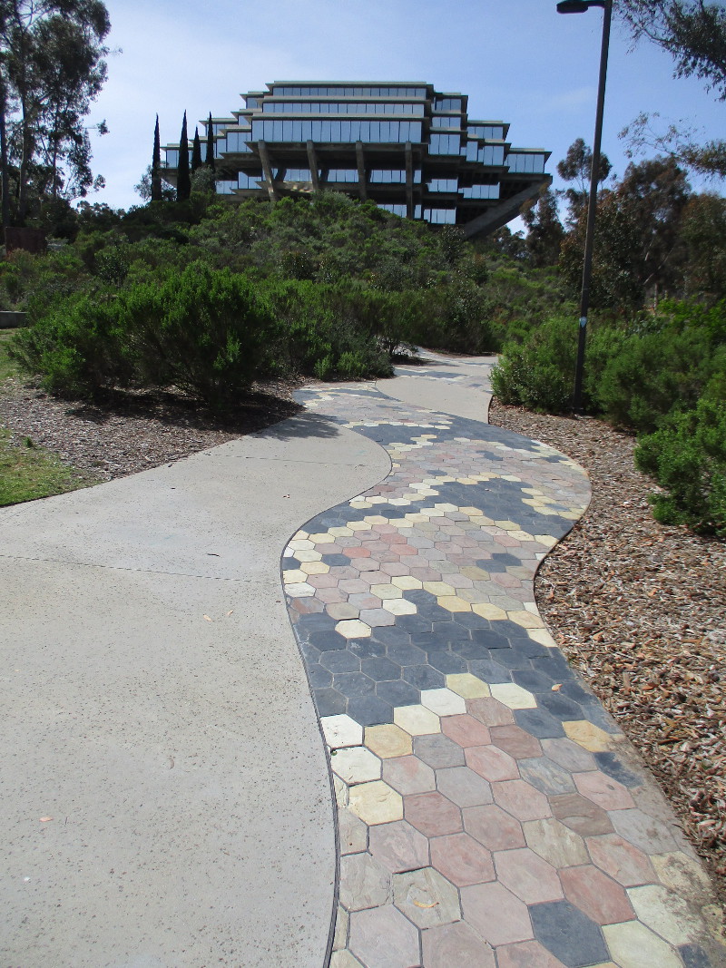 Walking up the Snake Path at UCSD. – Cool San Diego Sights!