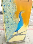 Photos of colorful street art in Encanto! – Cool San Diego Sights!