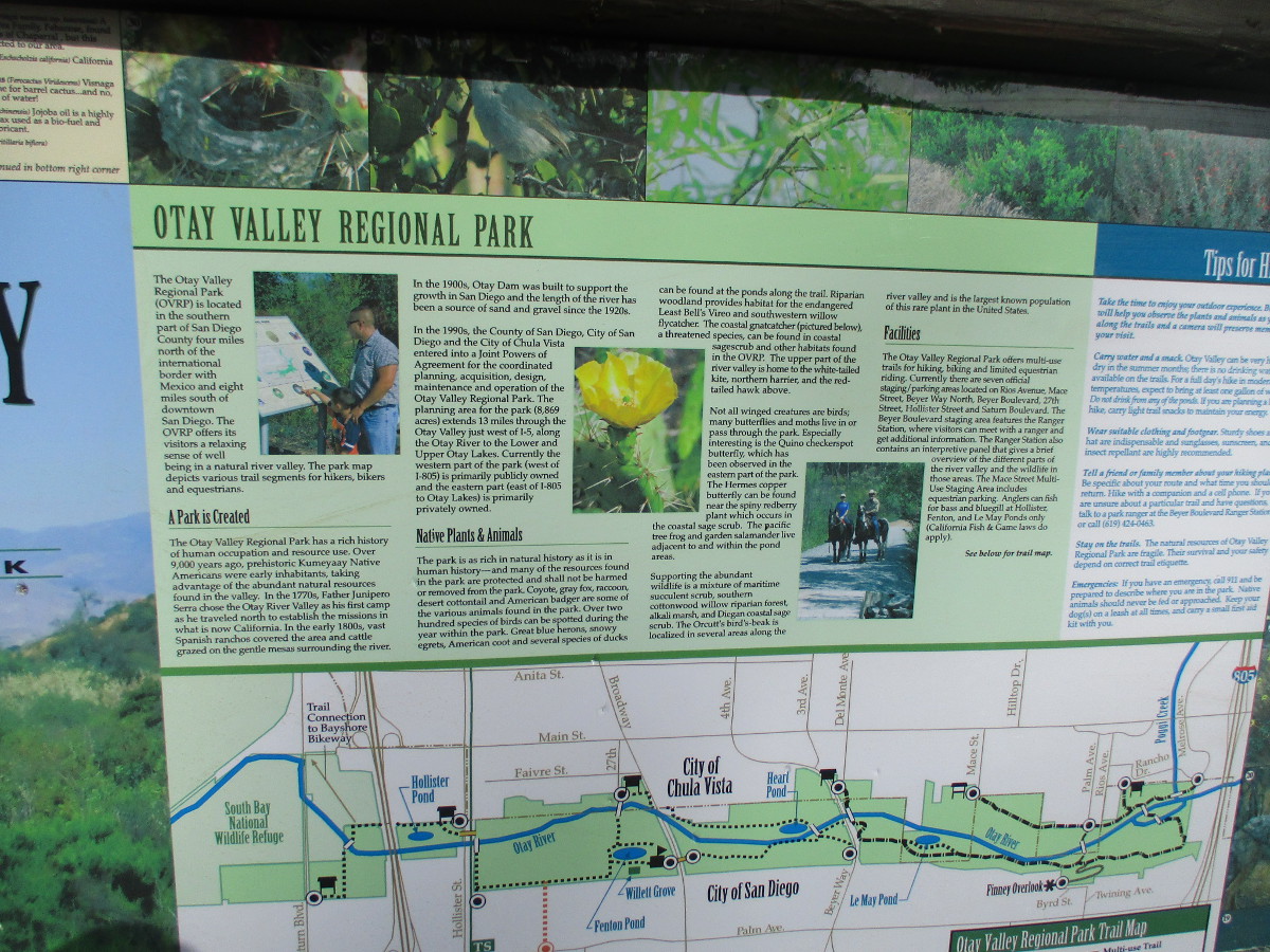 Walking the Otay River Trail to Hollister Pond. – Cool San Diego Sights!