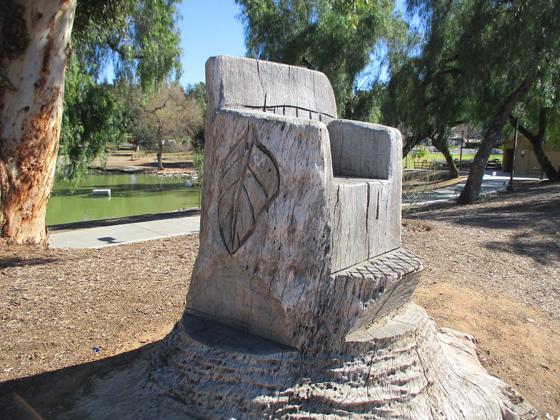 Leaf Throne at Lindo Lake County Park! – Cool San Diego Sights!