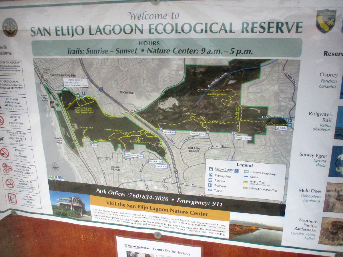 A walk through San Elijo Lagoon Ecological Reserve. – Cool San Diego ...