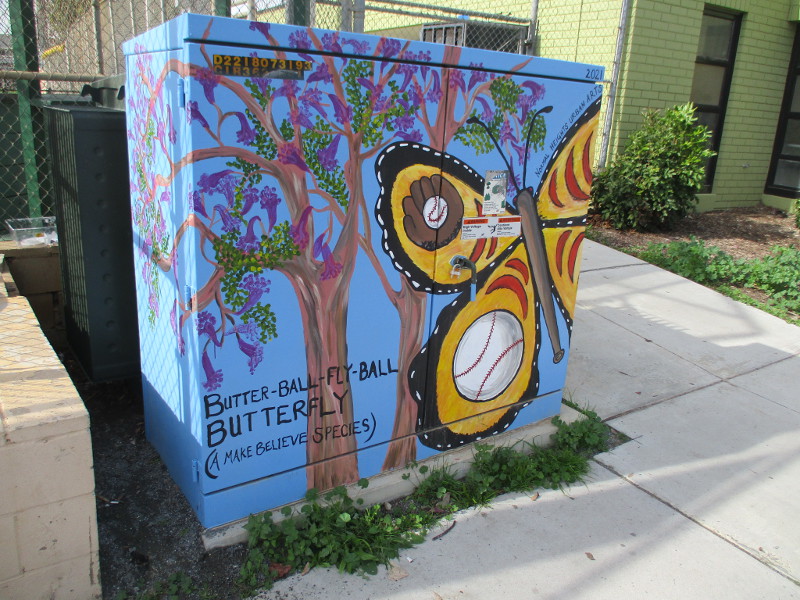 Rare butter-ball-fly-ball in Normal Heights! – Cool San Diego Sights!