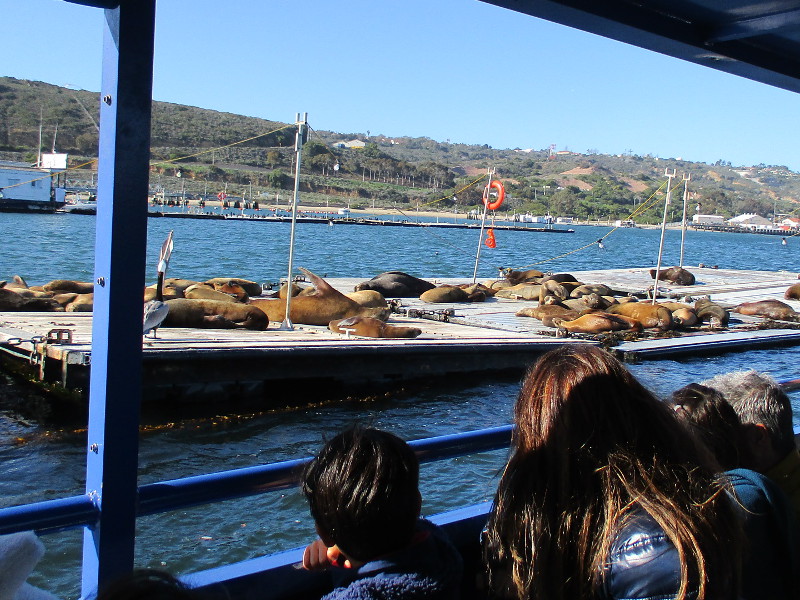 A fun harbor tour on both land and sea! – Cool San Diego Sights!