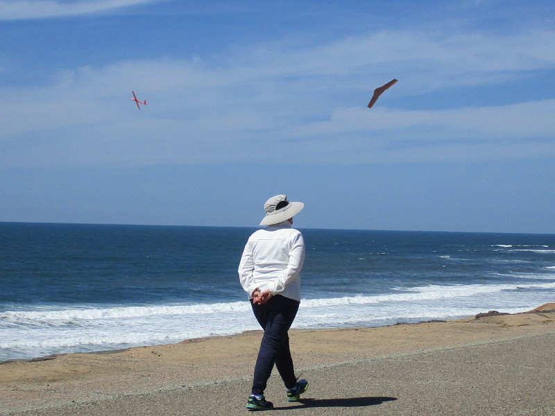 A spirit soars forever in Carlsbad. – Cool San Diego Sights!