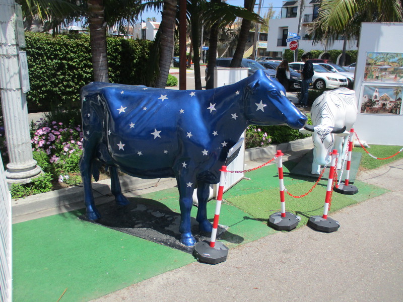 IMG_1531 – Cool San Diego Sights!