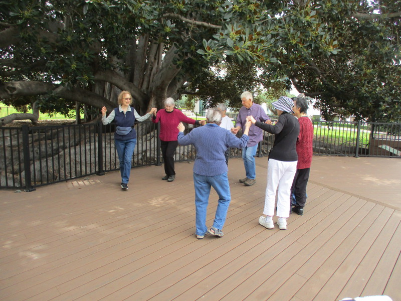 Folk dancing under the Moreton Bay Fig! – Cool San Diego Sights!