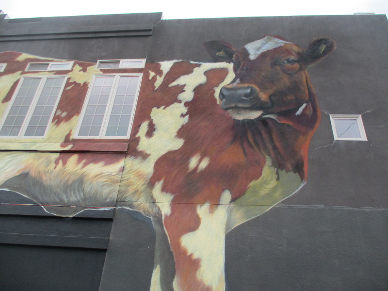Enormous cow appears in City Heights! – Cool San Diego Sights!