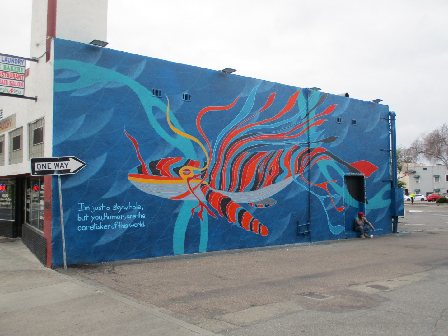 Strange whale swims inland to Escondido! – Cool San Diego Sights!