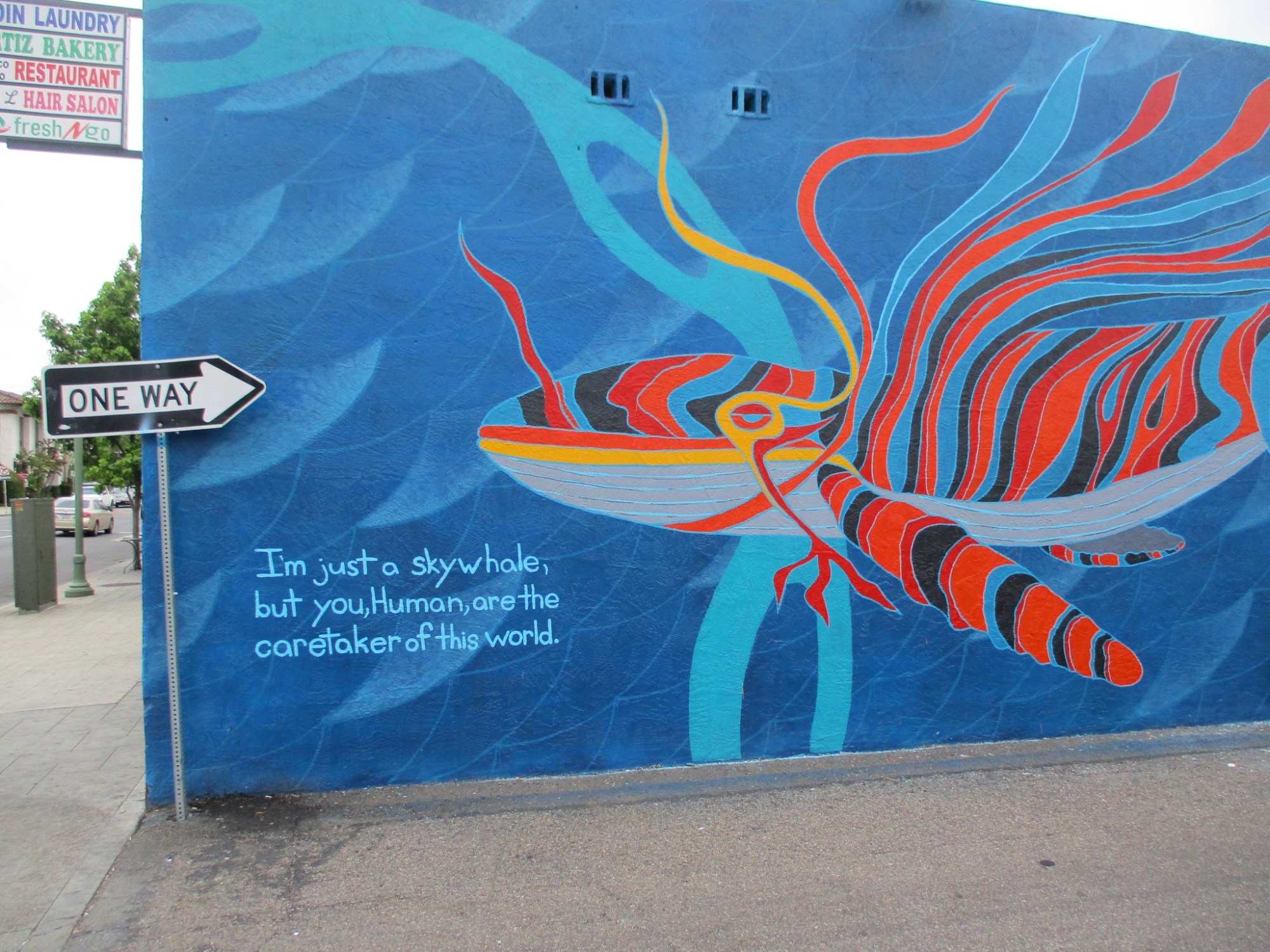 Strange whale swims inland to Escondido! – Cool San Diego Sights!
