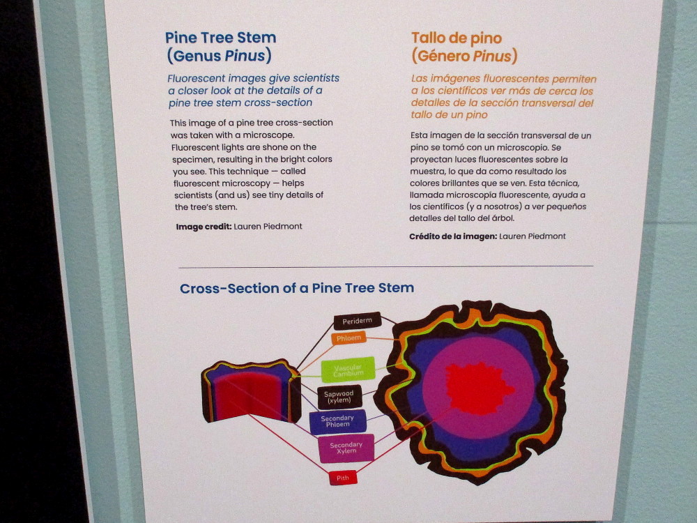 The Art of Science exhibit by UC San Diego. – Cool San Diego Sights!