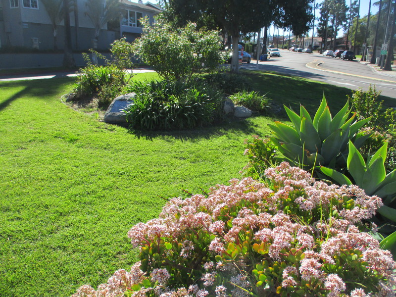A little known, unmapped park in La Mesa. – Cool San Diego Sights!