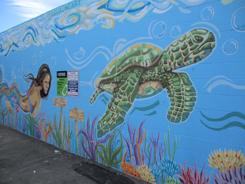 Save the Turtles mural in Pacific Beach. – Cool San Diego Sights!