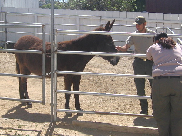 Cool San Diego Sights! – Colorful photos of San Diego places and events.