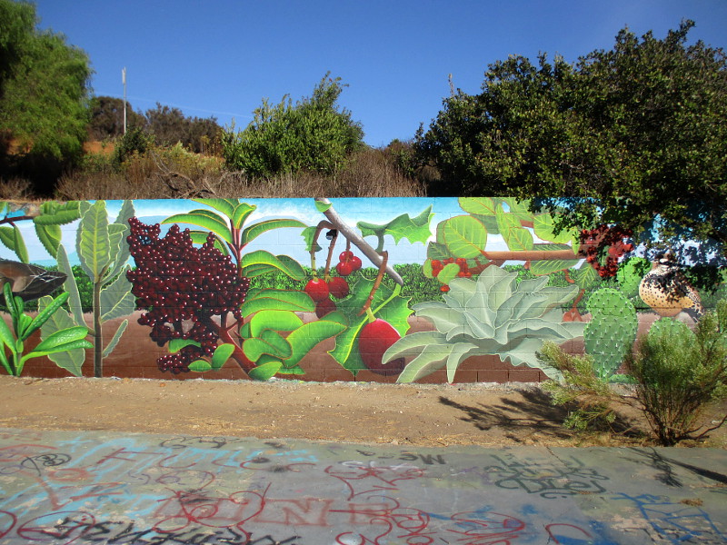 The new City Heights mural in Swan Canyon! – Cool San Diego Sights!