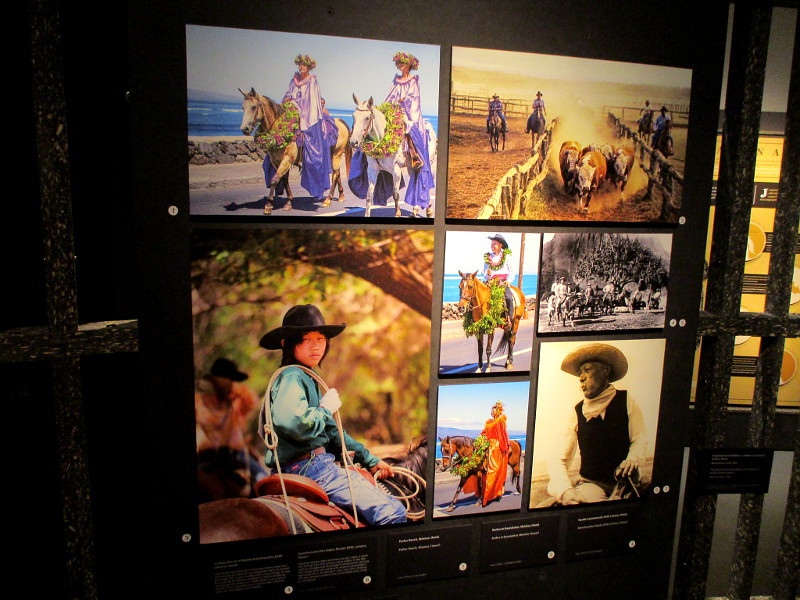 San Diego history and the origin of Hawaii’s paniolos! – Cool San Diego ...