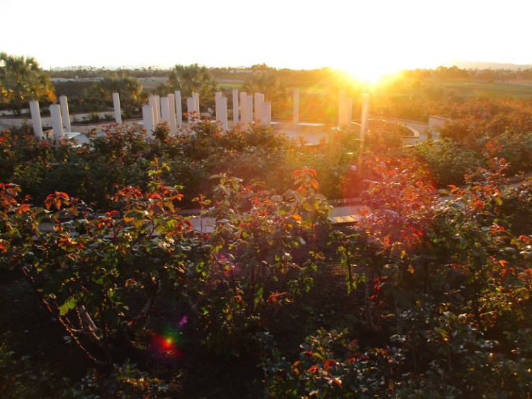 First sunrise of Spring in Balboa Park’s rose garden. – Cool San Diego ...